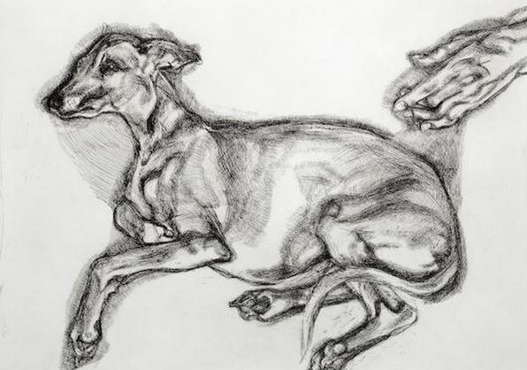 Lucien Freud's Aged Whippet Races Away at Bonhams - World Collectors Net